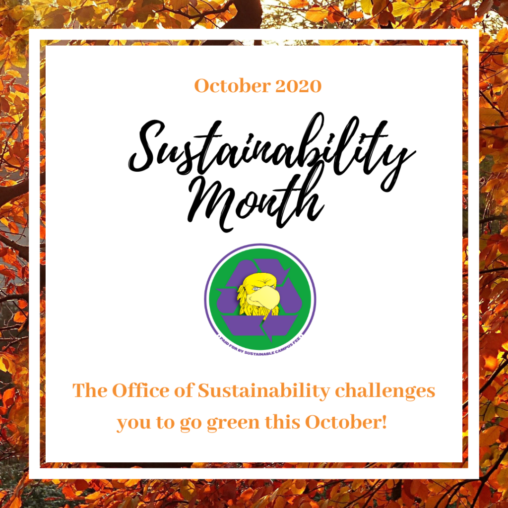 Take the Sustainability Month Survey! | Tech Times