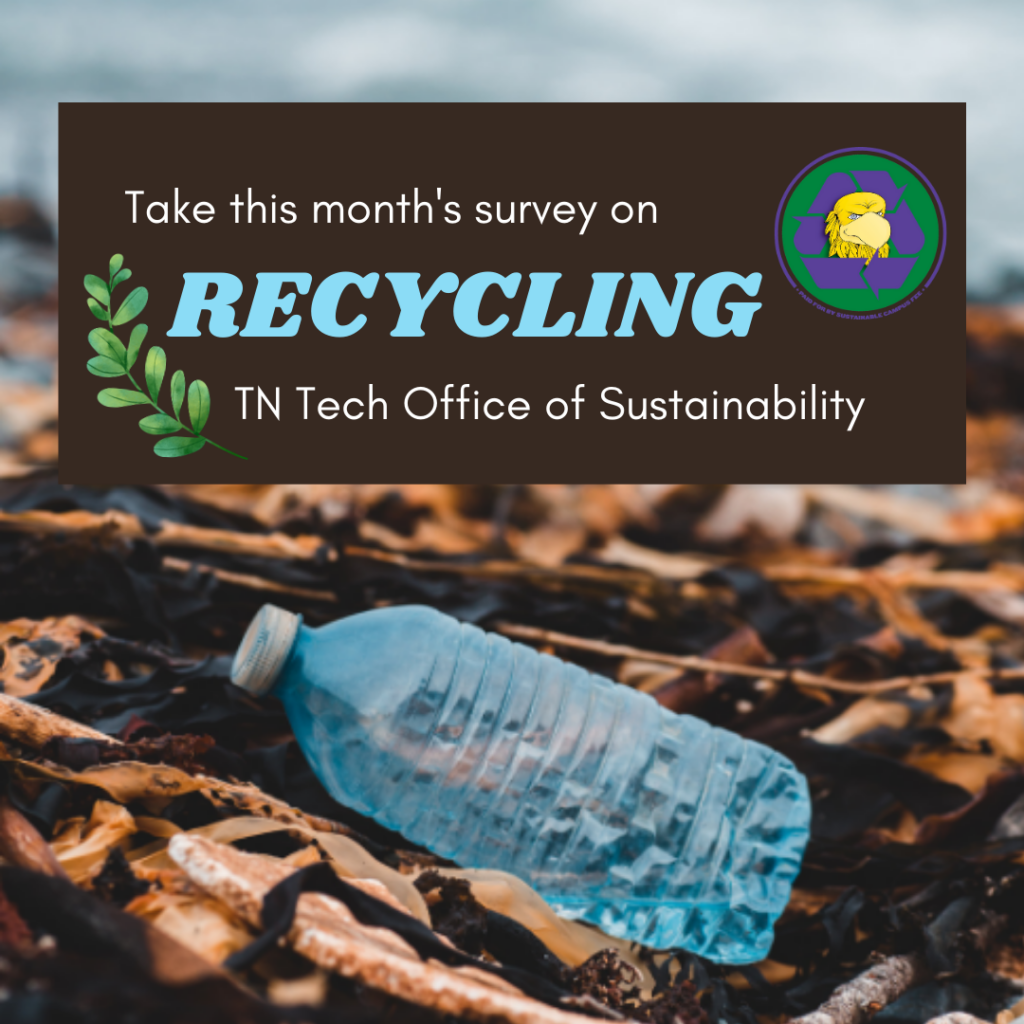 This month’s survey: Recycling! | Tech Times