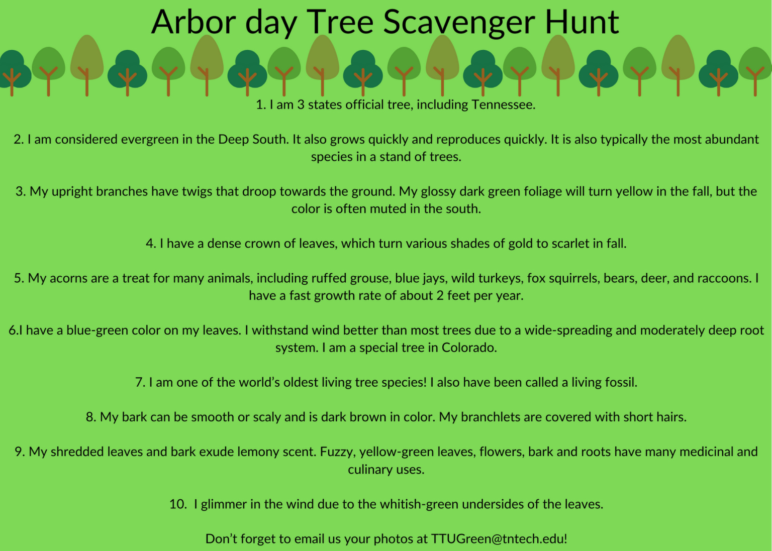 Arbor Day Tree Scavenger Hunt, April 22-30 | Tech Times